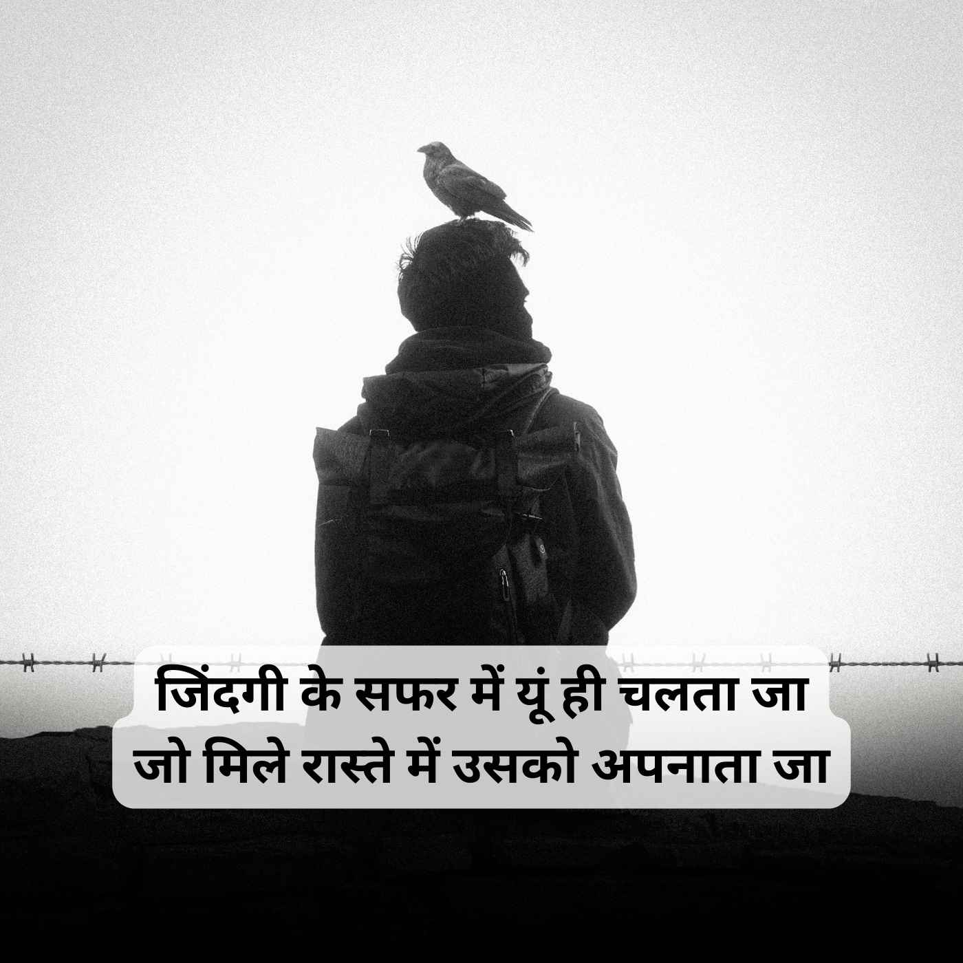 100+ Best Zindagi Shayari: Life’s Poetic Collection - 2025