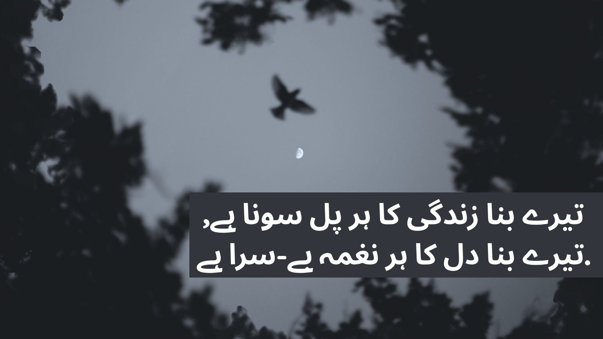 70+ Sad Shayari in Urdu | Express Your Emotions, sad peotry